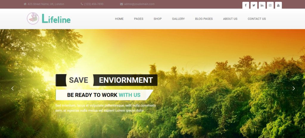 10+ Best WordPress Themes for Nonprofit Organizations – 2024 - BE