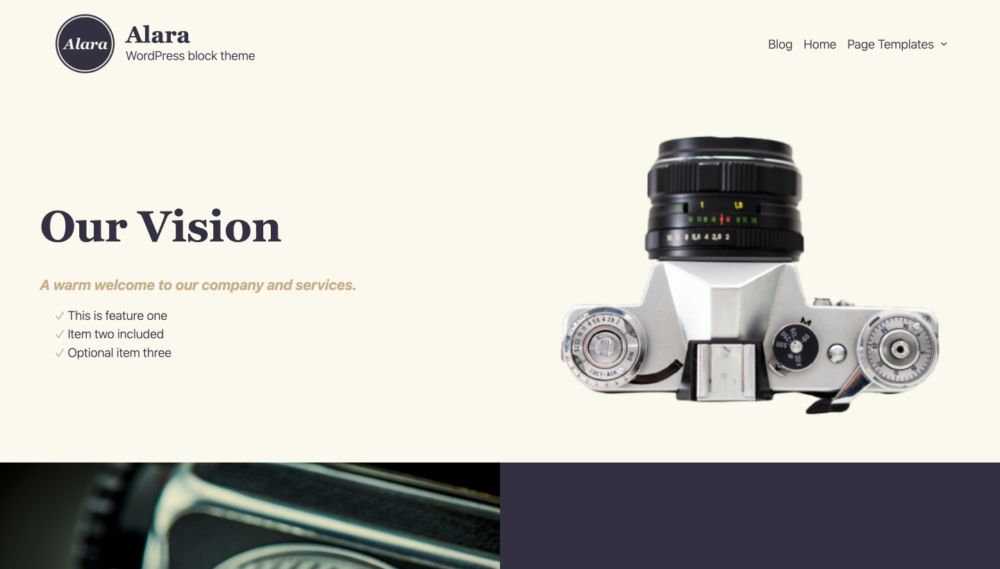 10+ Best Full Site Editing Themes of 2024 - BE