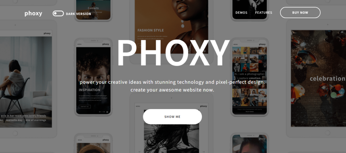10+ Best Gallery WordPress Themes - BE