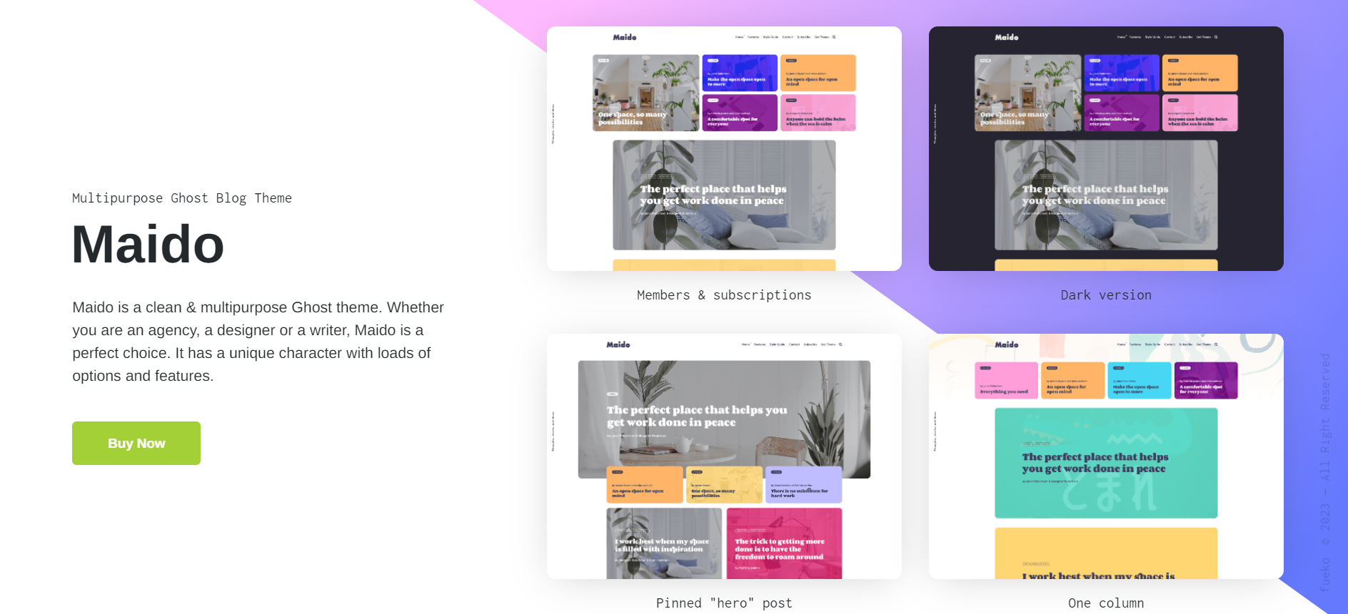 Best 10+ WordPress Themes for Authors 2023 - BE